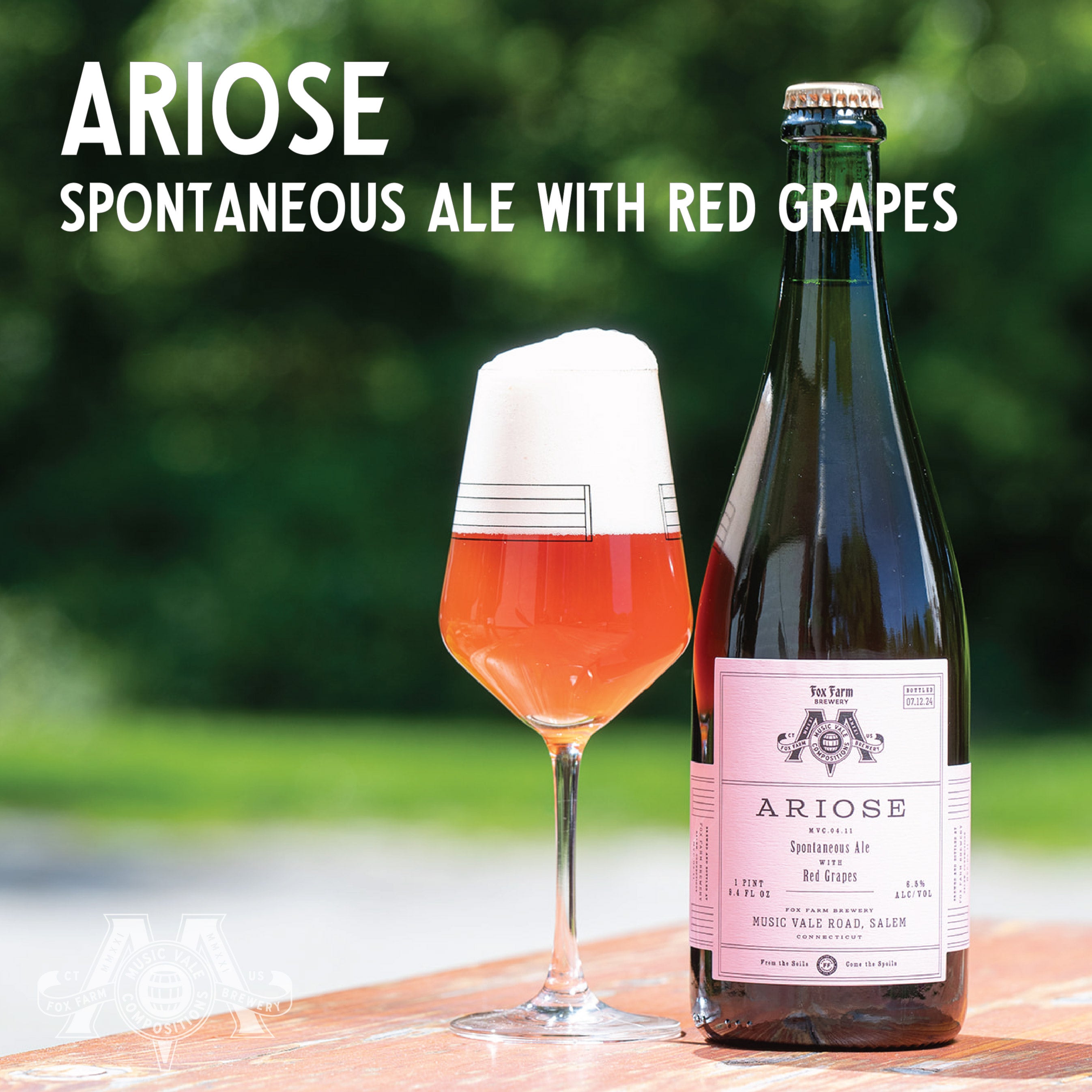Ariose Spontaneous Ale with Red Grapes | Fox Farm Brewery