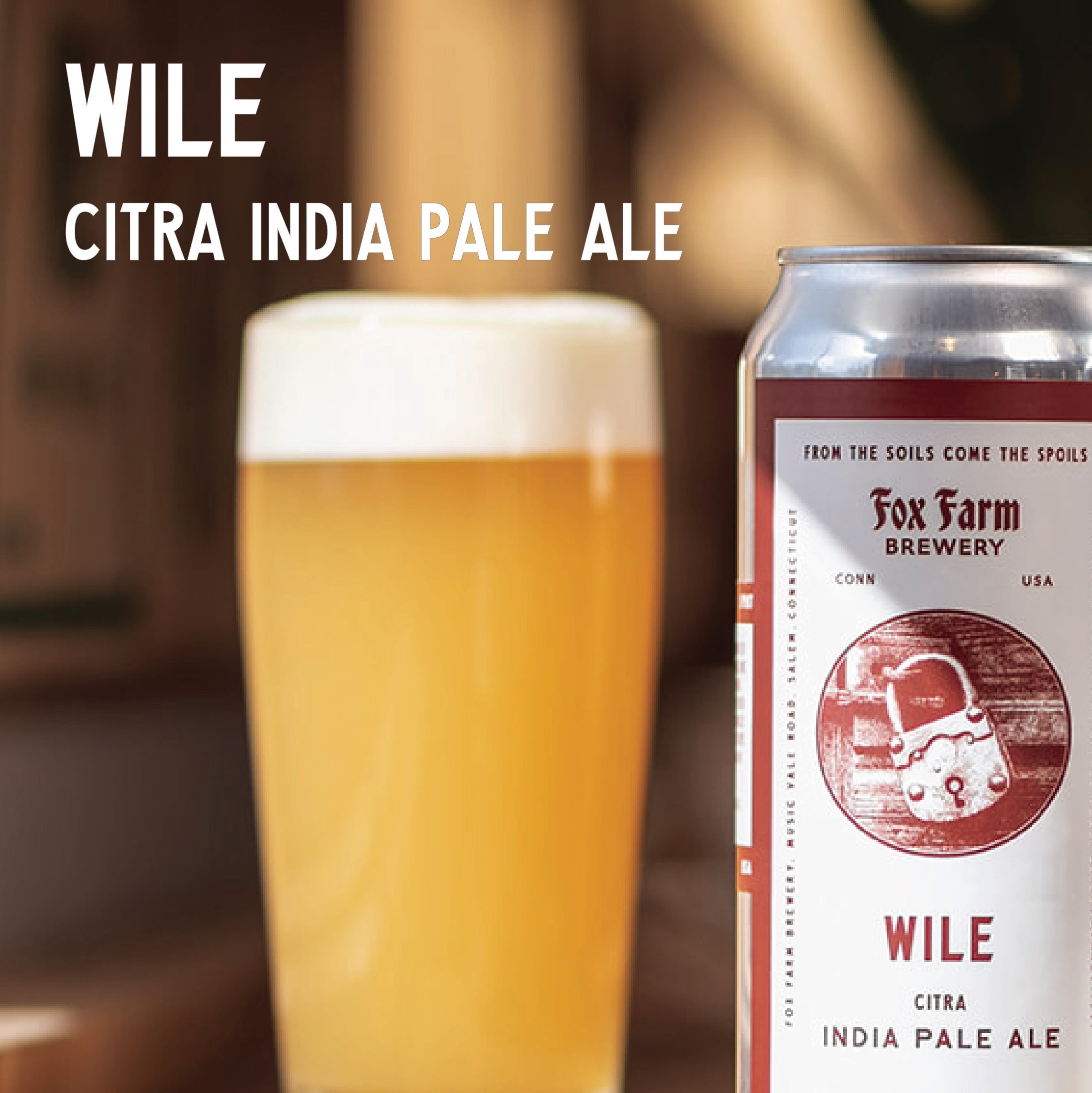 Wile Citra India Pale Ale | Fox Farm Brewery